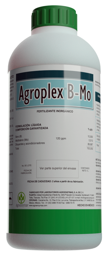 Smart Irrigation: Saving Water – Quinval